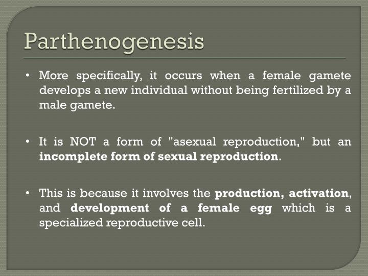 PPT - PARTHENOGENESIS parthenos "virgin " and genesis " creation ...