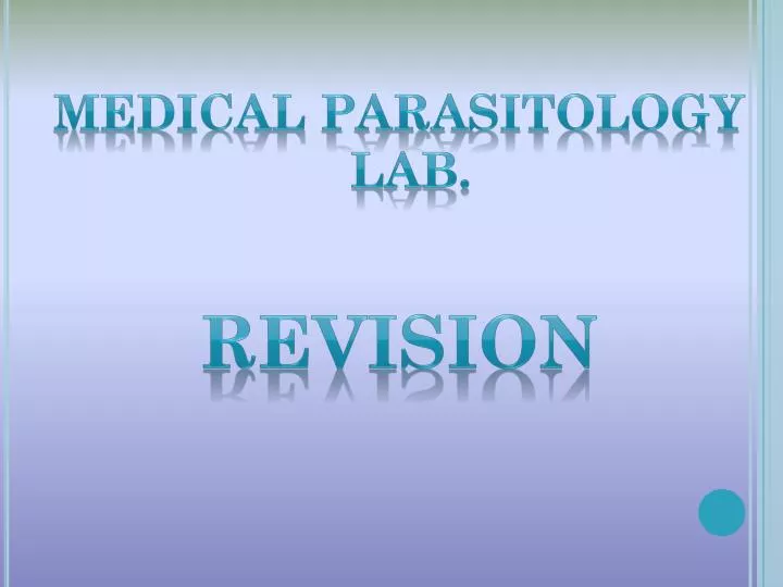 PPT - Medical Parasitology Lab. Revision PowerPoint Presentation, free ...