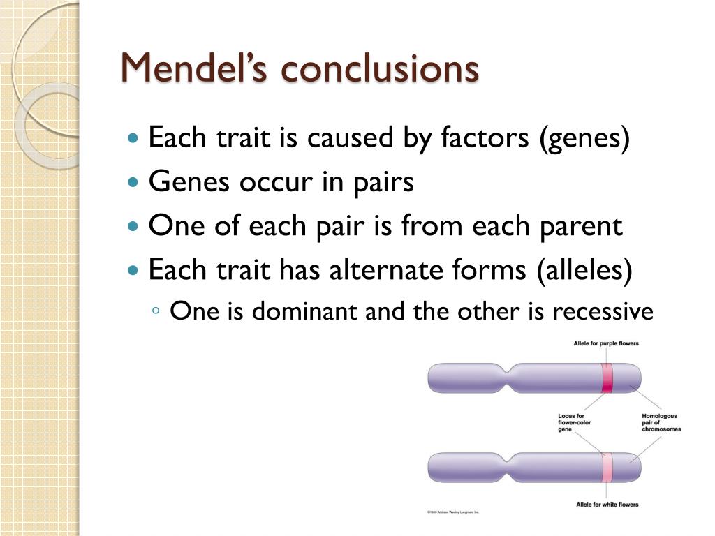 Ppt Mendelian Genetics Powerpoint Presentation Free Download Id