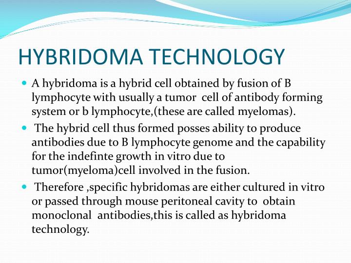 PPT - Hybridoma technology…….and mAb production…….. PowerPoint ...
