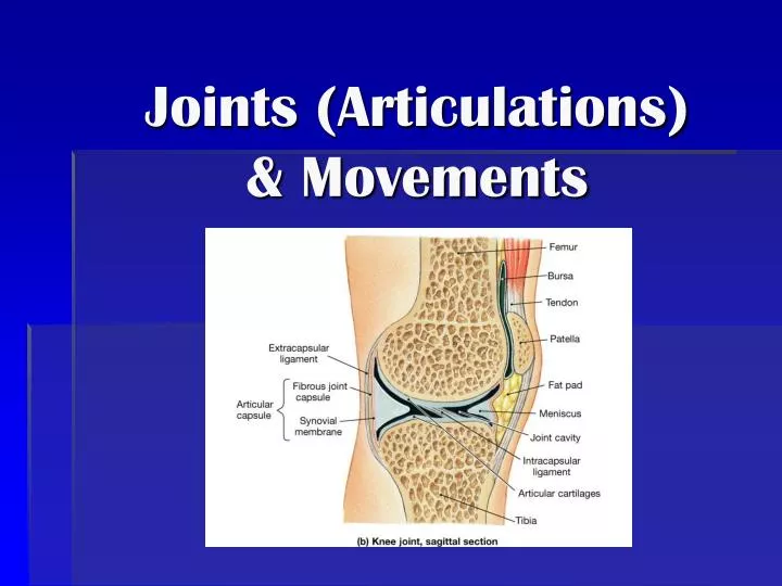 PPT - Joints (Articulations) & Movements PowerPoint Presentation, free ...