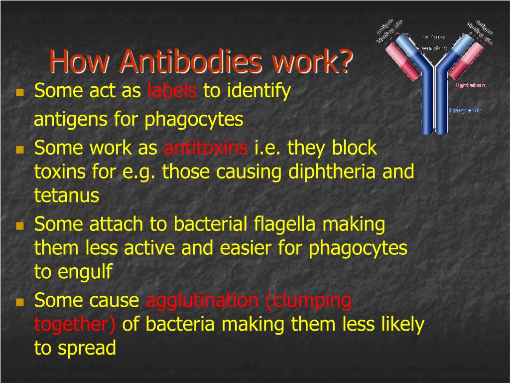 PPT - Topic 6.3 Defence against infectious disease PowerPoint ...
