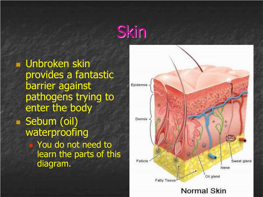 PPT - Topic 6.3 Defence against infectious disease PowerPoint ...