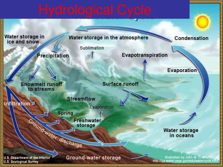 PPT - Hydrological Cycle PowerPoint Presentation, free download - ID ...