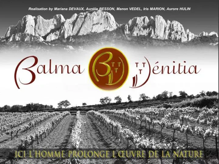 PPT - Realisation by Mariana DEVAUX, Aurélie BESSON, Manon VEDEL, Iris ...