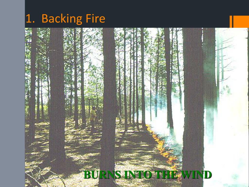 PPT - Interagency Prescribed Fire Training/ Fire Ecology and Management ...