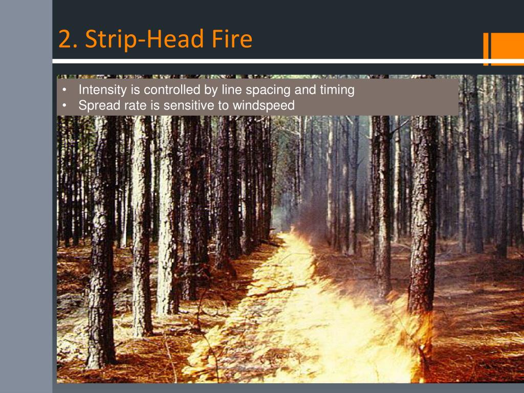 PPT - Interagency Prescribed Fire Training/ Fire Ecology and Management ...