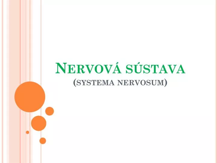 PPT - Nervová sústava ( systema nervosum ) PowerPoint Presentation ...