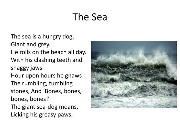 PPT - …If Love Were Like Water PowerPoint Presentation - ID:2304251