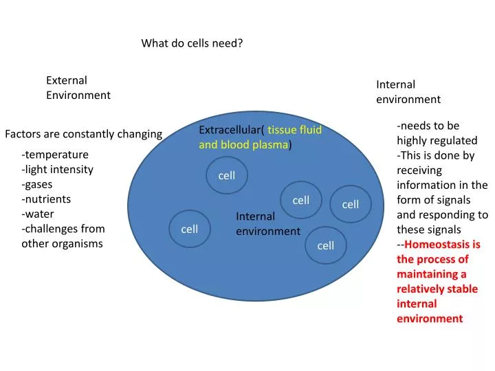 PPT - What do cells need? PowerPoint Presentation, free download - ID ...