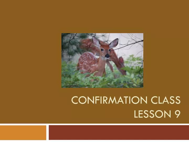 PPT - Confirmation Class Lesson 9 PowerPoint Presentation, free ...