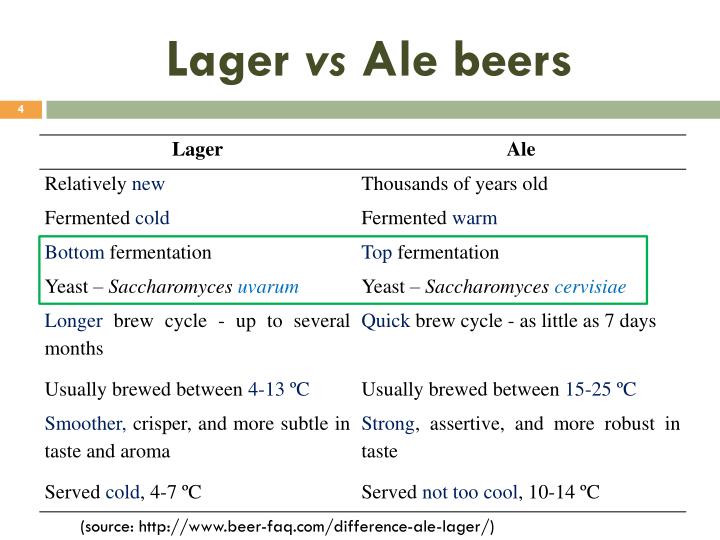PPT - Beer Brewing PowerPoint Presentation - ID:2305801