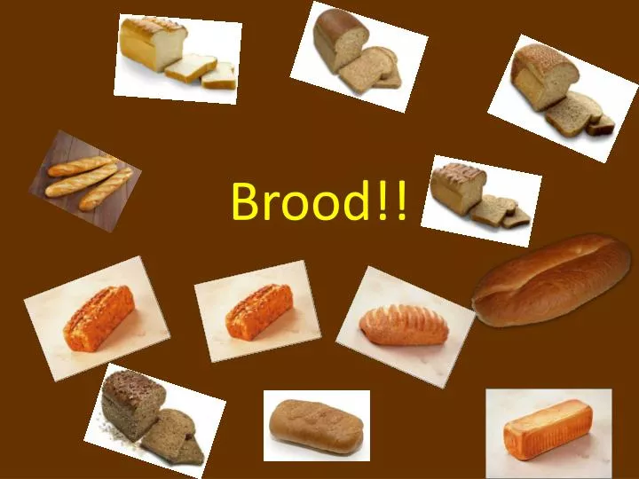 PPT - Brood!! PowerPoint Presentation, free download - ID:2305827