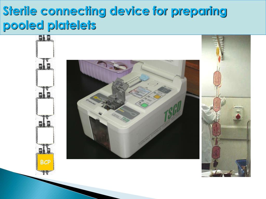 PPT - D Dr.Susheela Innah Professor & HoD Dept of Transfusion Medicine ...