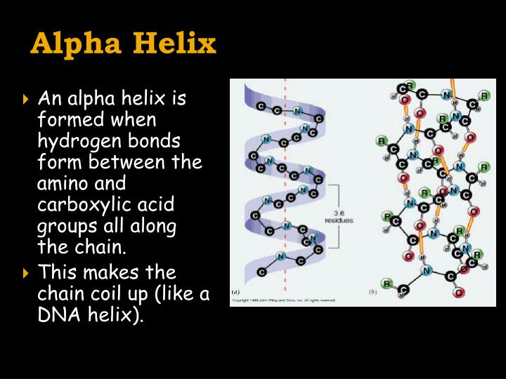 PPT - LESSON 1-3: Biomacromolecules PowerPoint Presentation - ID:2306081