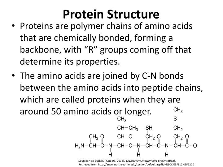 PPT - PROTEIN STRUCTURE PowerPoint Presentation - ID:2306713