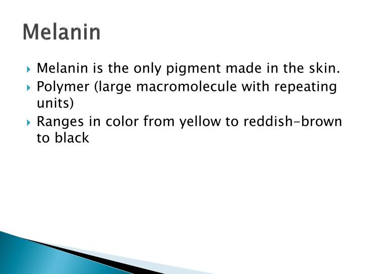 PPT - Skin Color PowerPoint Presentation - ID:2307775