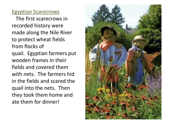 PPT - Scarecrows PowerPoint Presentation - ID:2307873