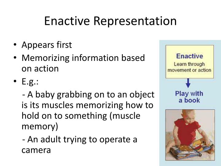 PPT - Jerome Bruner PowerPoint Presentation - ID:2308631