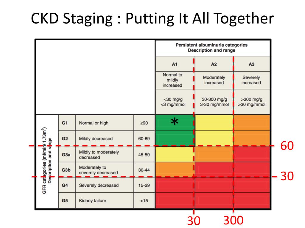 PPT - Chronic Kidney Disease for the General Internist PowerPoint ...