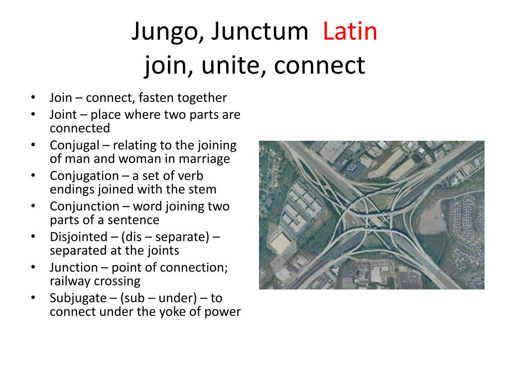 PPT - Greek and Latin Roots 1 PowerPoint Presentation, free download ...