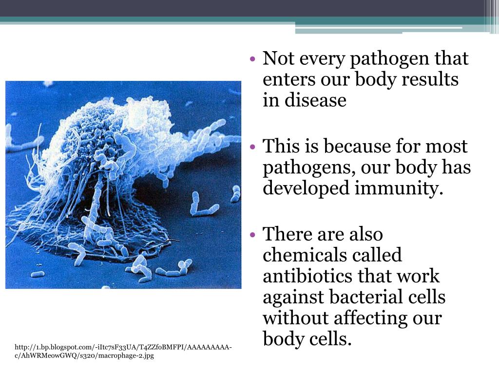 PPT - Defense Against Infectious Disease PowerPoint Presentation, free ...