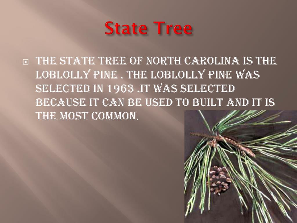 PPT - North Carolina Symbols PowerPoint Presentation, free download ...
