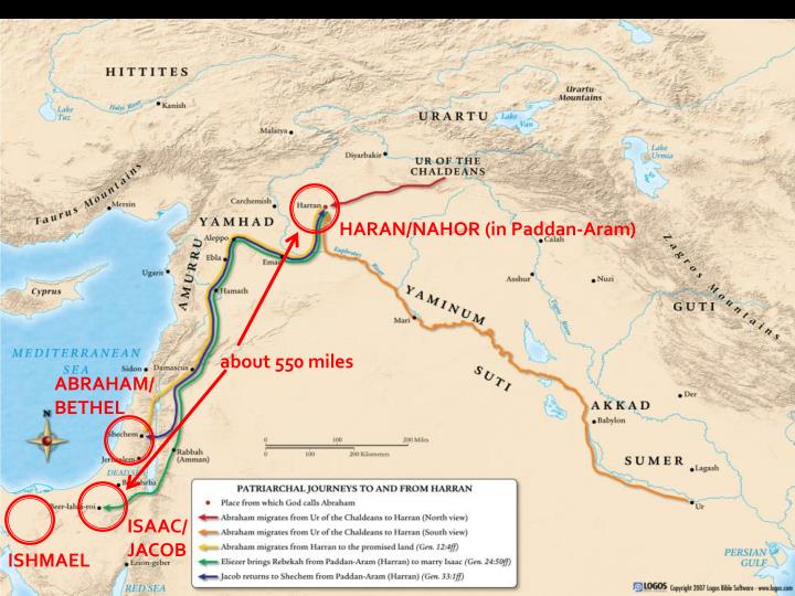 PPT - Genesis: a 12-session study PowerPoint Presentation - ID:2310753