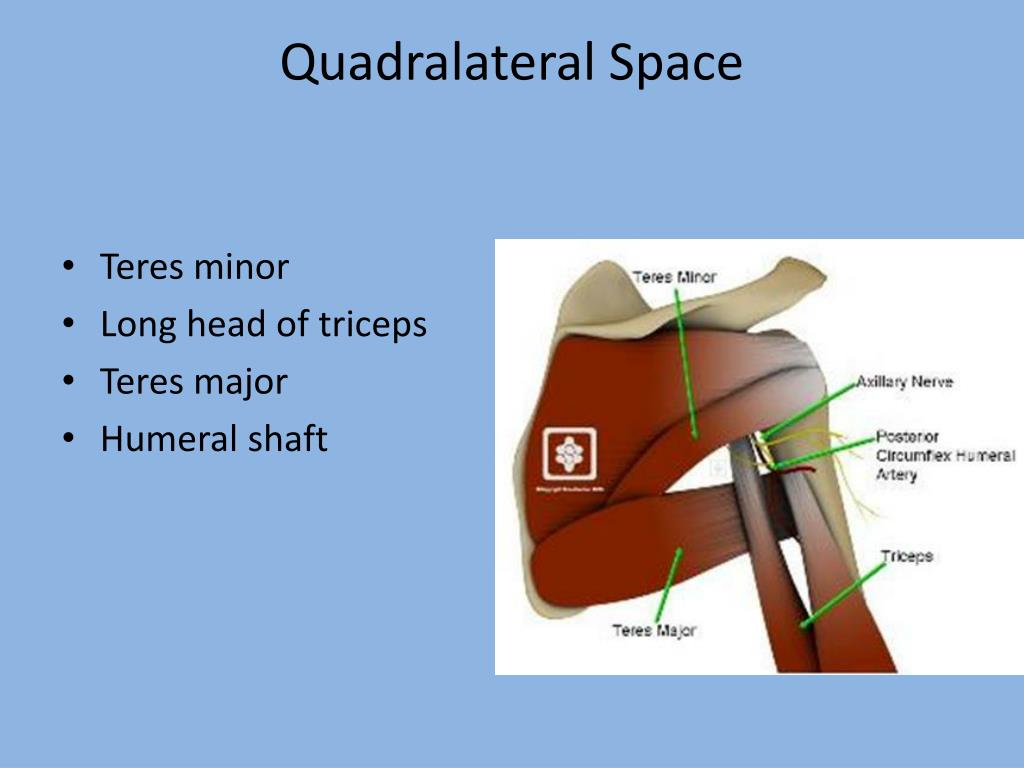 PPT - Sports M edicine C linic PowerPoint Presentation, free download ...