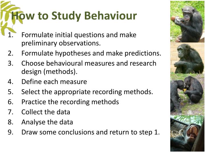 PPT - Measuring Behaviour PowerPoint Presentation - ID:2311322