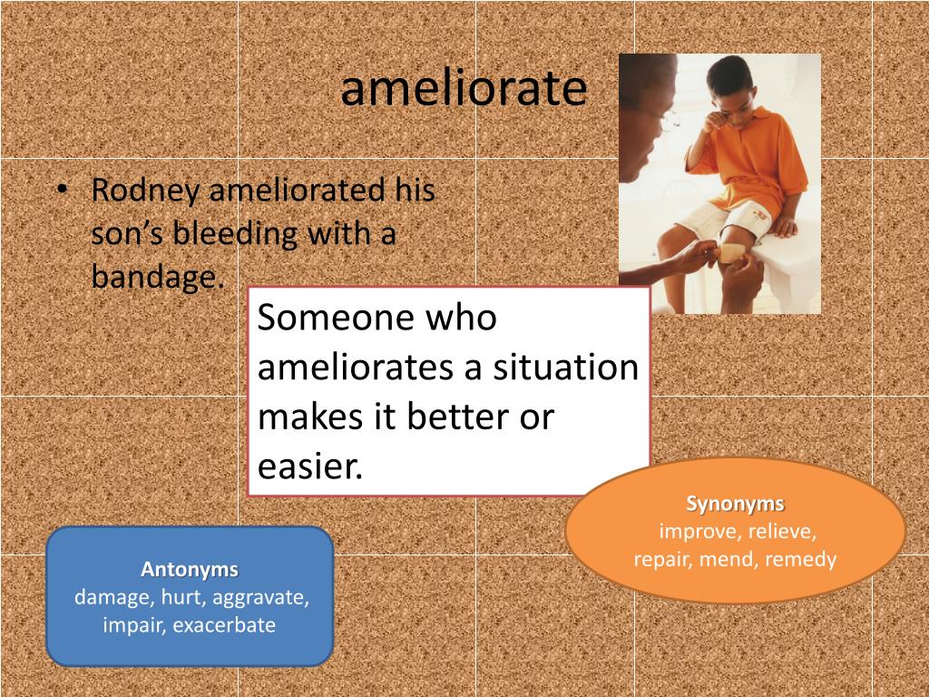 PPT - Vocabulary Pictures PowerPoint Presentation, free download - ID ...