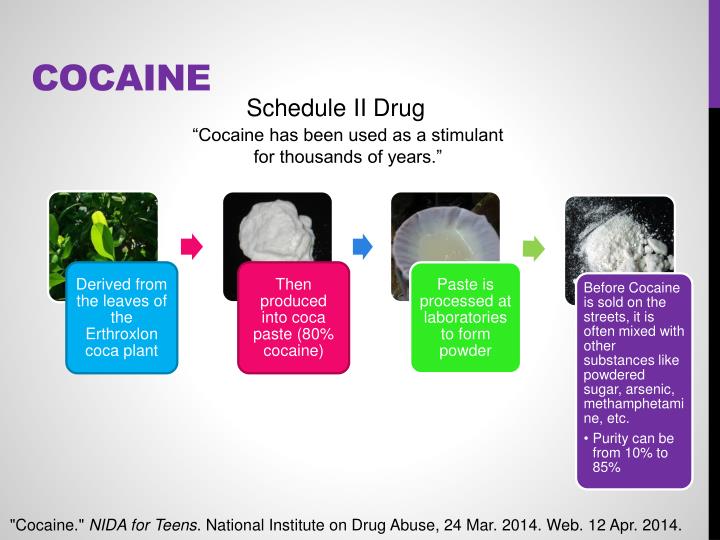 PPT - CNS Stimulants PowerPoint Presentation - ID:2312436
