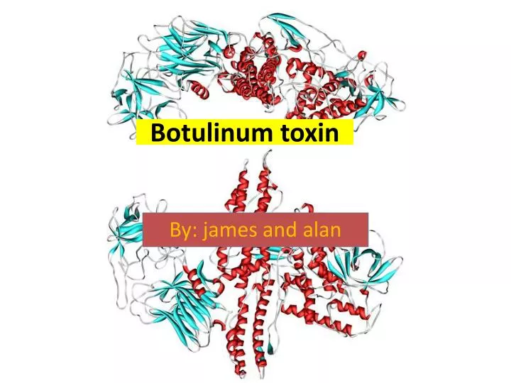 PPT - Botulinum toxin PowerPoint Presentation, free download - ID:2312543