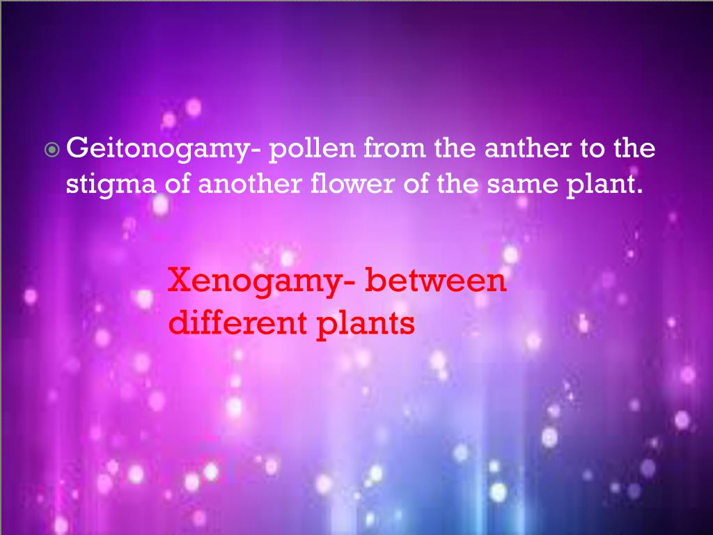 PPT - SEXUAL REPRODUCTION IN FLOWERING PLANTS PowerPoint Presentation ...