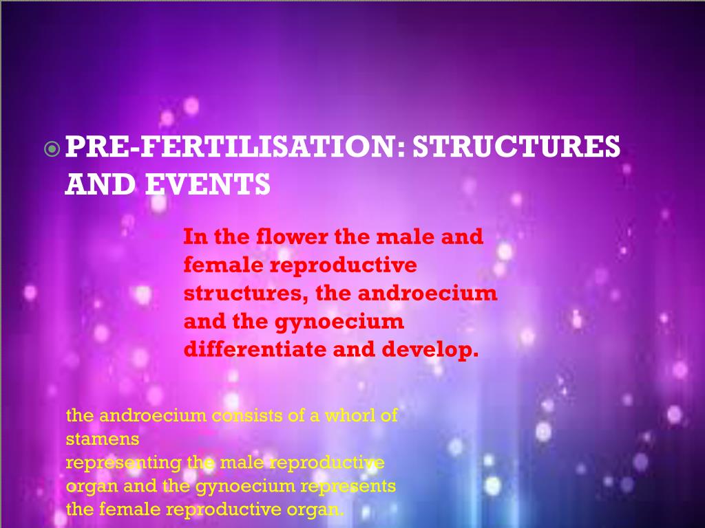 PPT - SEXUAL REPRODUCTION IN FLOWERING PLANTS PowerPoint Presentation ...