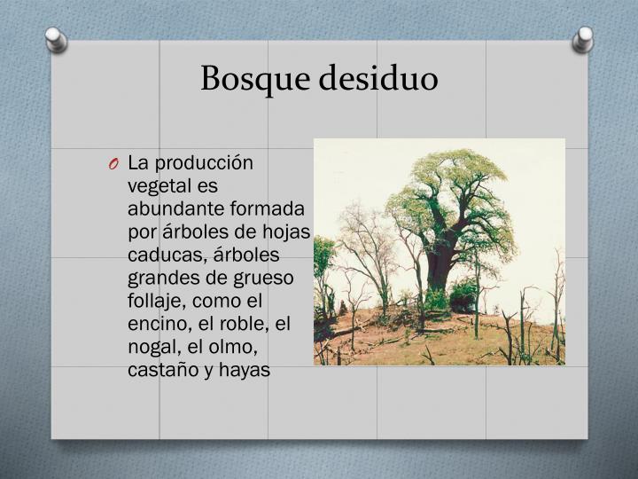 PPT - BIOMAS PowerPoint Presentation - ID:2313061