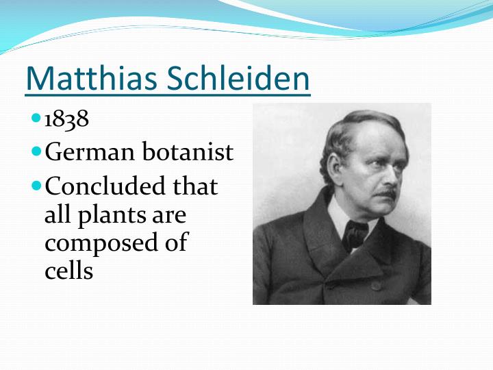 PPT - The Cell Theory PowerPoint Presentation - ID:2313328