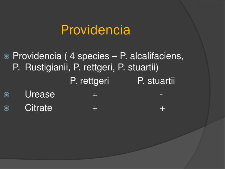 PPT - Members of the Family Enterobacteriaceae PowerPoint Presentation ...