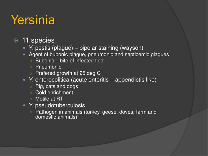 PPT - Members of the Family Enterobacteriaceae PowerPoint Presentation ...