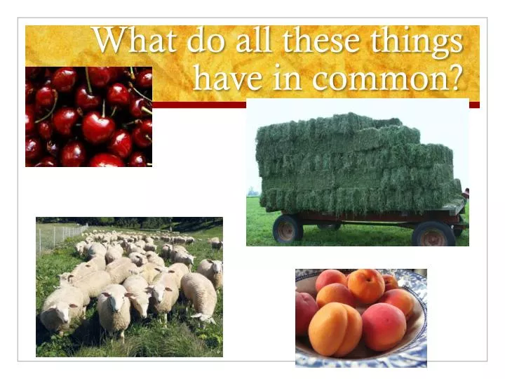 PPT - What do all these things have in common? PowerPoint Presentation ...