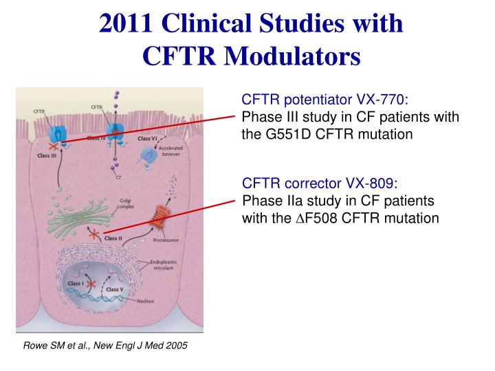 PPT - High-Throughput Screening Speeding Up CF Drug Discovery ...