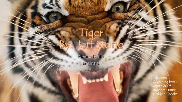 PPT - Tiger By: Jeff Stone PowerPoint Presentation, free download - ID ...