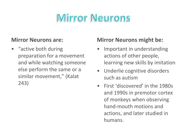 PPT - Mirror Neurons PowerPoint Presentation - ID:2315230