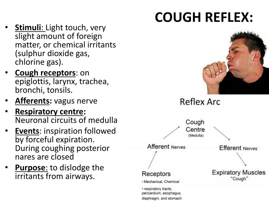 PPT - respiratory distress syndrome (RDS) PowerPoint Presentation, free ...