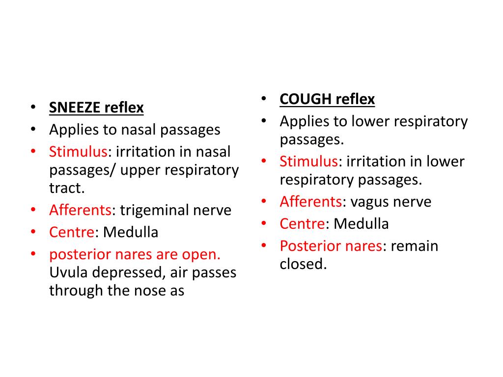 PPT - respiratory distress syndrome (RDS) PowerPoint Presentation, free ...