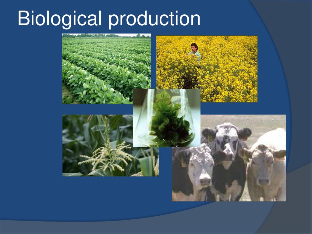 PPT - SEJARAH PERKEMBANGAN Bioteknologi TANAMAN PowerPoint Presentation ...