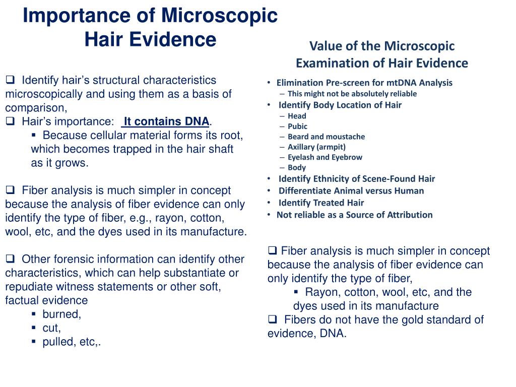 PPT - Microscenes : Trace Evidence - Hair and Fibers PowerPoint ...