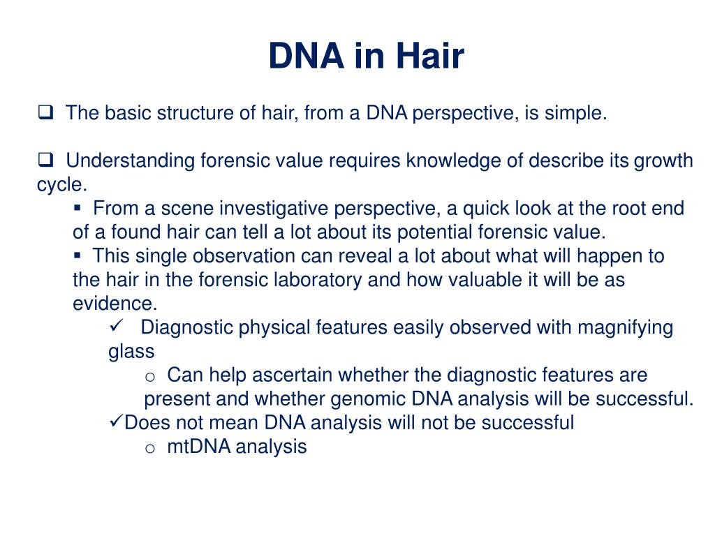 PPT - Microscenes : Trace Evidence - Hair and Fibers PowerPoint ...