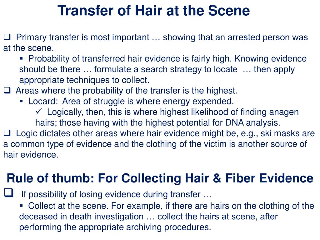 PPT - Microscenes : Trace Evidence - Hair and Fibers PowerPoint ...