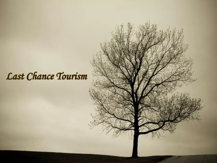 PPT - Last Chance Tourism PowerPoint Presentation, free download - ID ...